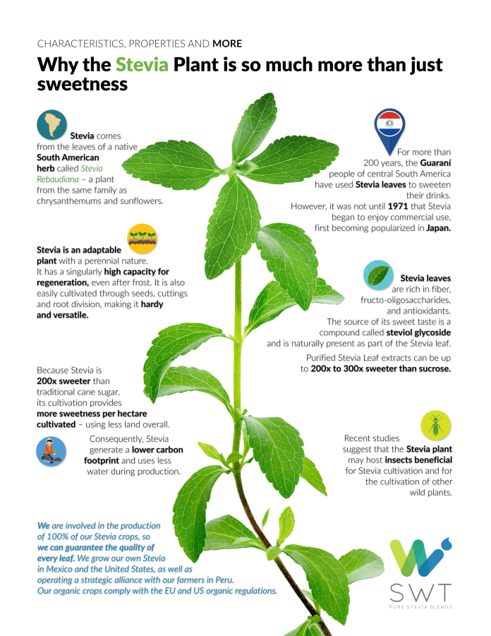 Stevia: Tanaman Pemanis Alami dengan Potensi Kesehatan dan Peluang di ...