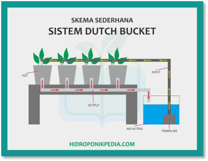 Dutch Bucket Hidroponik: Sistem Andal untuk Tanaman Buah - AGROPEDIA
