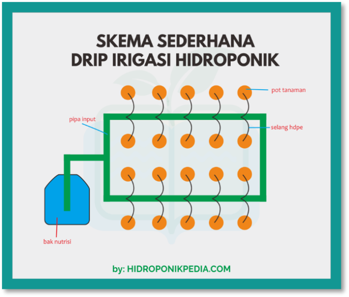 Drip System Hidroponik: Sistem Tetes Fleksibel untuk Berbagai Tanaman ...