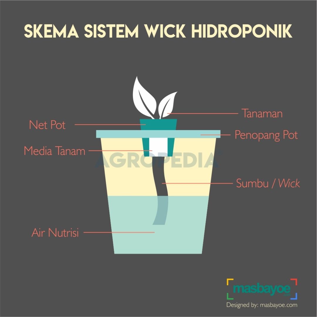 Wick System Hidroponik: Sistem Paling Sederhana untuk Pemula - AGROPEDIA