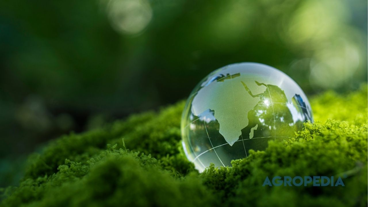 ESG di Pertanian Indonesia: Realistis, Bukan Idealistis - AGROPEDIA